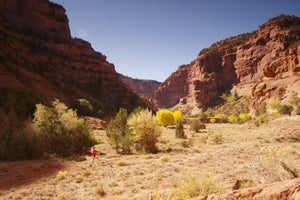 Video: The Canyon Runner - RUN | Powered by Outside