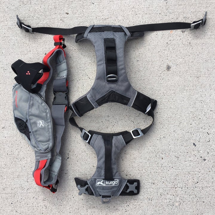 Dog Running Gear Review - RUN | Powered by Outside