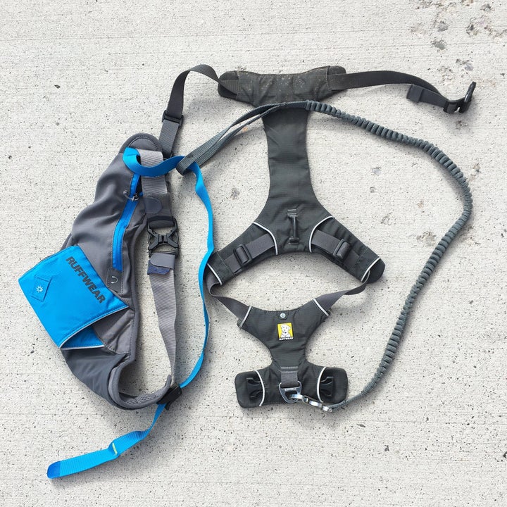 Dog Running Gear Review - RUN | Powered by Outside