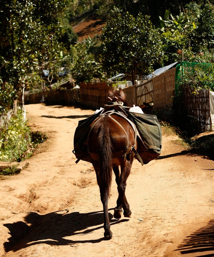 A Training Truth from the First Olympic Marathoner - RUN | Powered by ...