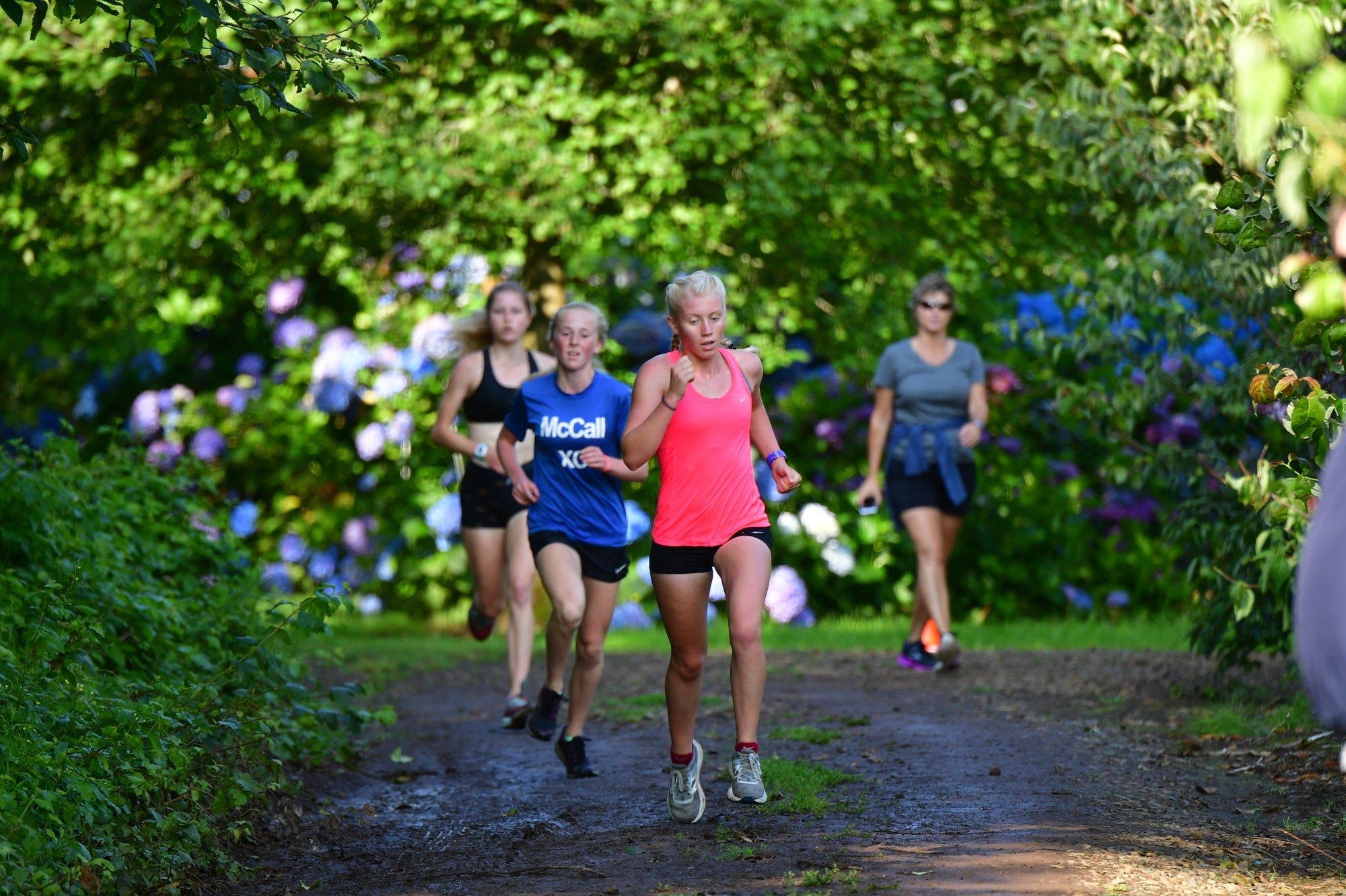 Running in Harmony: How to Choose a Summer Running Camp