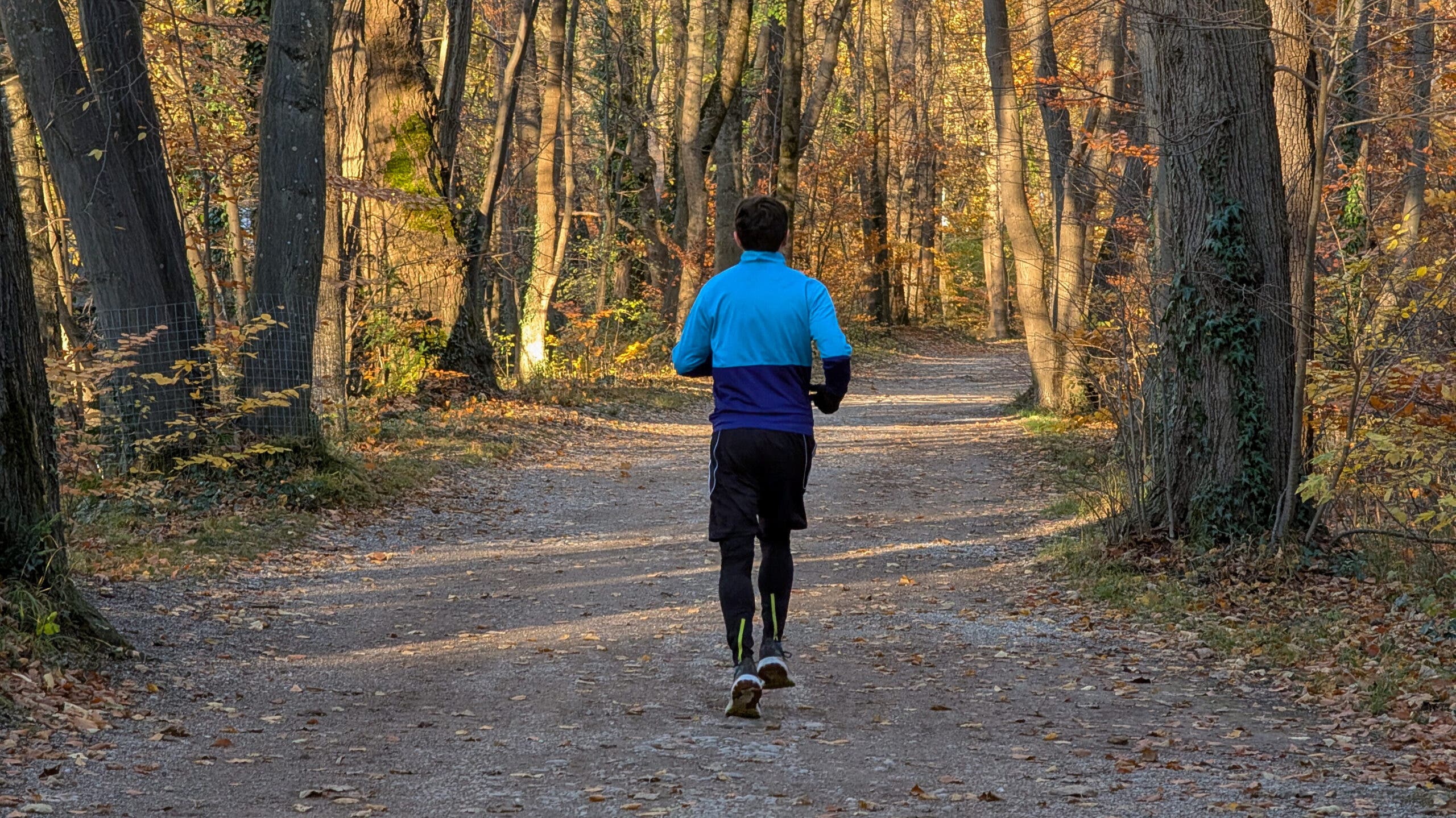 Yes, Zone 2 Training Is Important. (Just Don’t Forget the Other Stuff.)