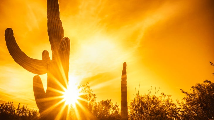 How Runners in Phoenix Survived the Hottest Summer Ever