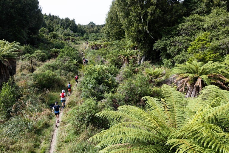 The 2024 Ultra-Trail Race Season is Starting with a Bang - RUN ...