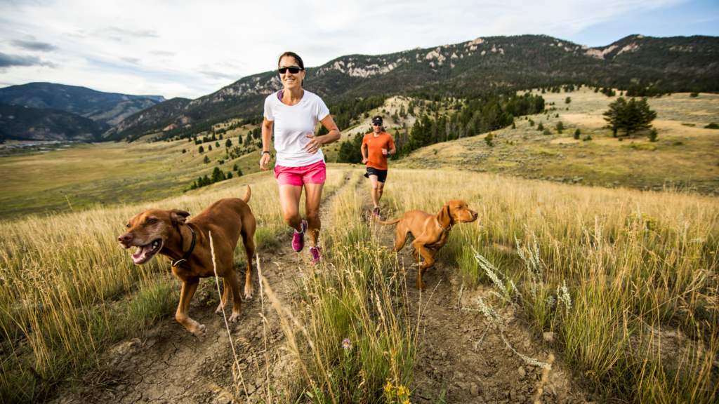 The Ultimate Guide to Running With Your Dog - RUN | Powered by Outside