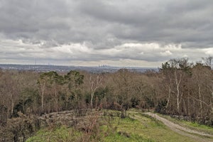 Why the London Loop Is an Urban Trail Running Dream