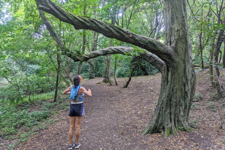 Why the London Loop Is an Urban Trail Running Dream