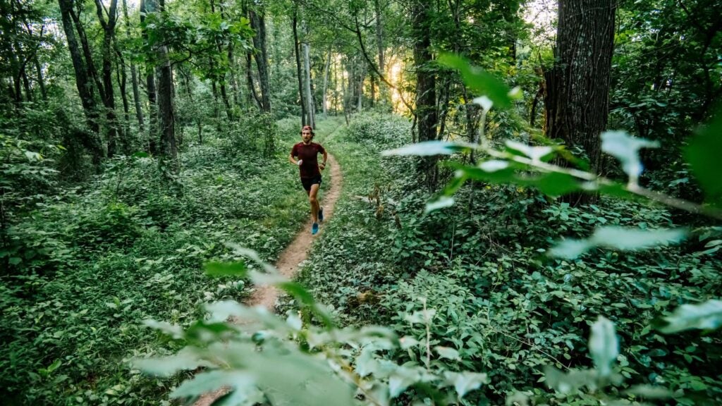 How to Track Trail Running Progress