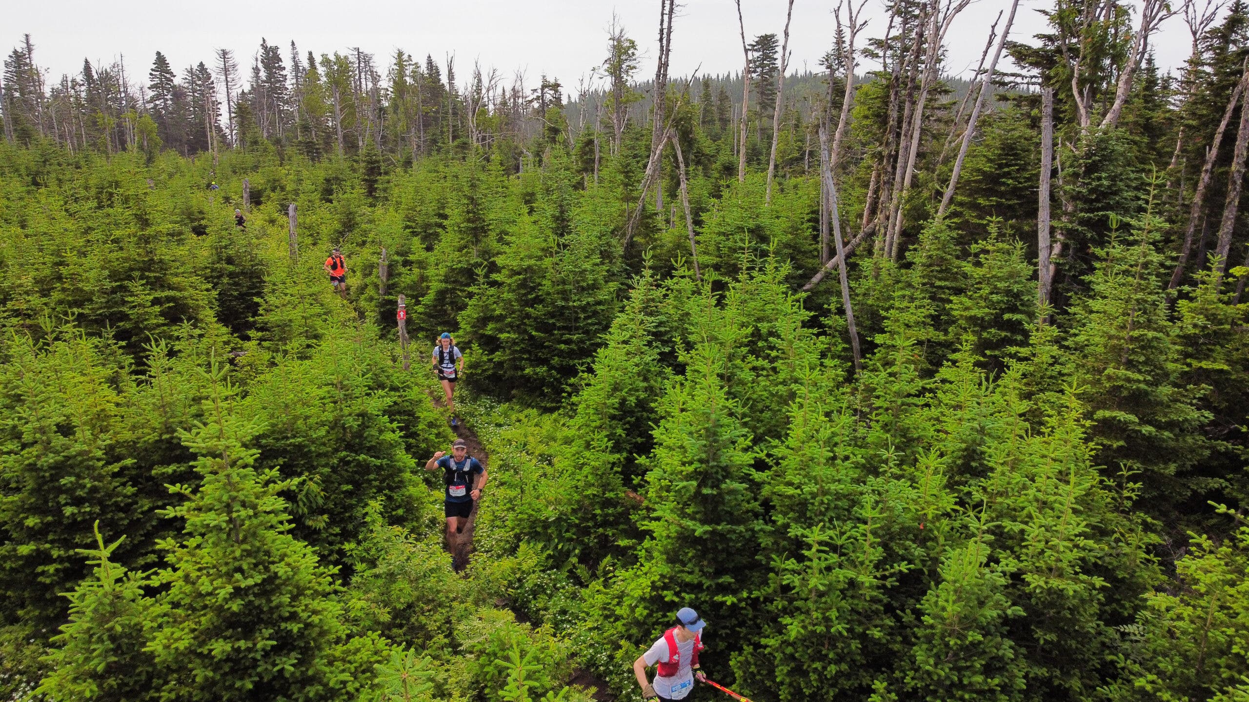 Why Quebec Mega Trail is Canada's Biggest Trail Running Event