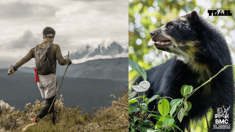 11 Epic Races in Latin America, the Next Trail Running Hotspot