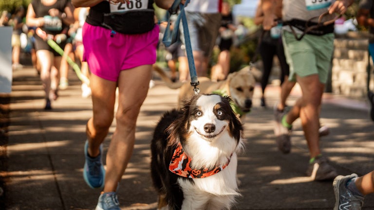10 Weird and Wonderful Running Races from 1 Mile to Marathon