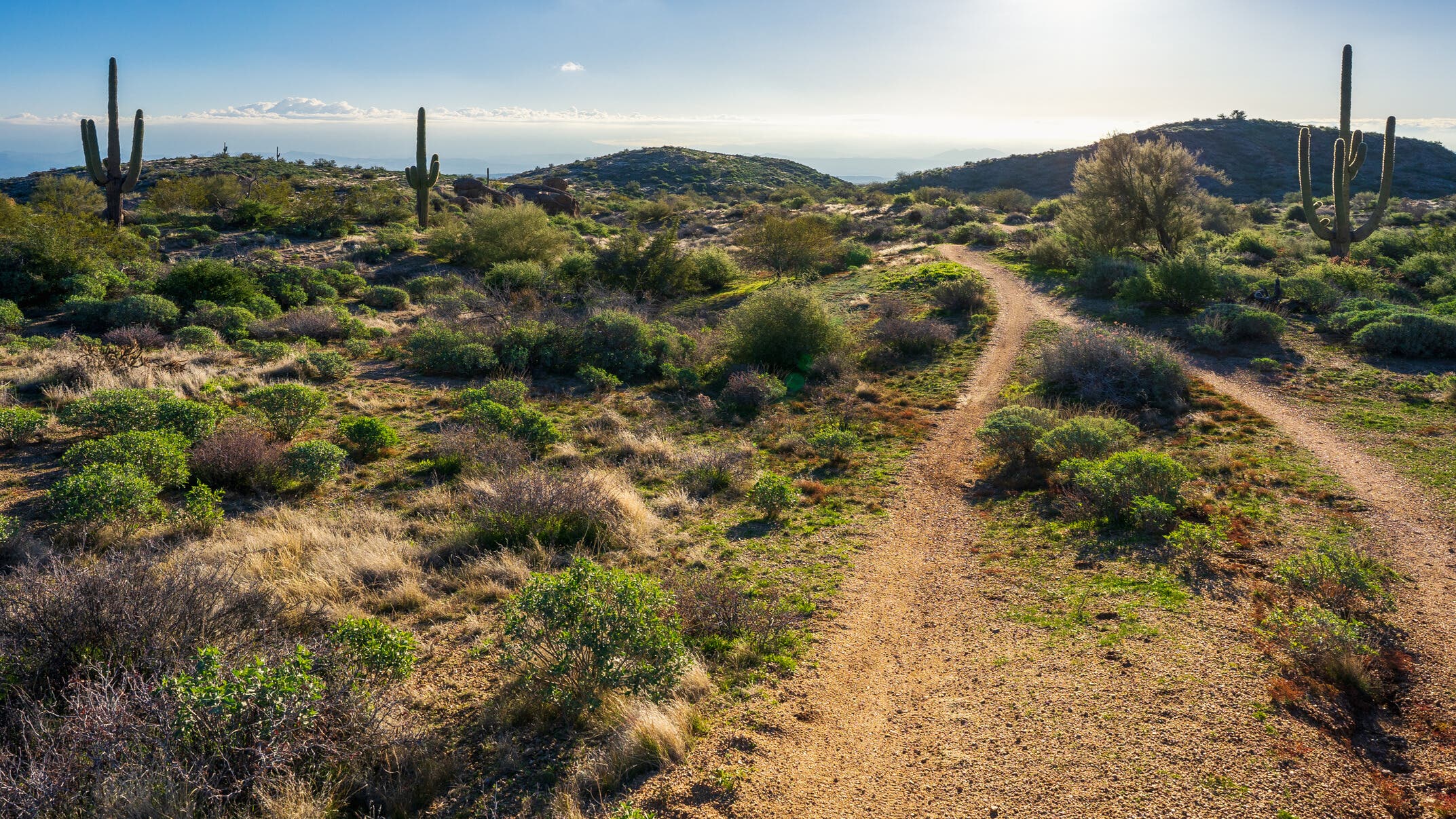 Our Editors Must-Run Trails in America