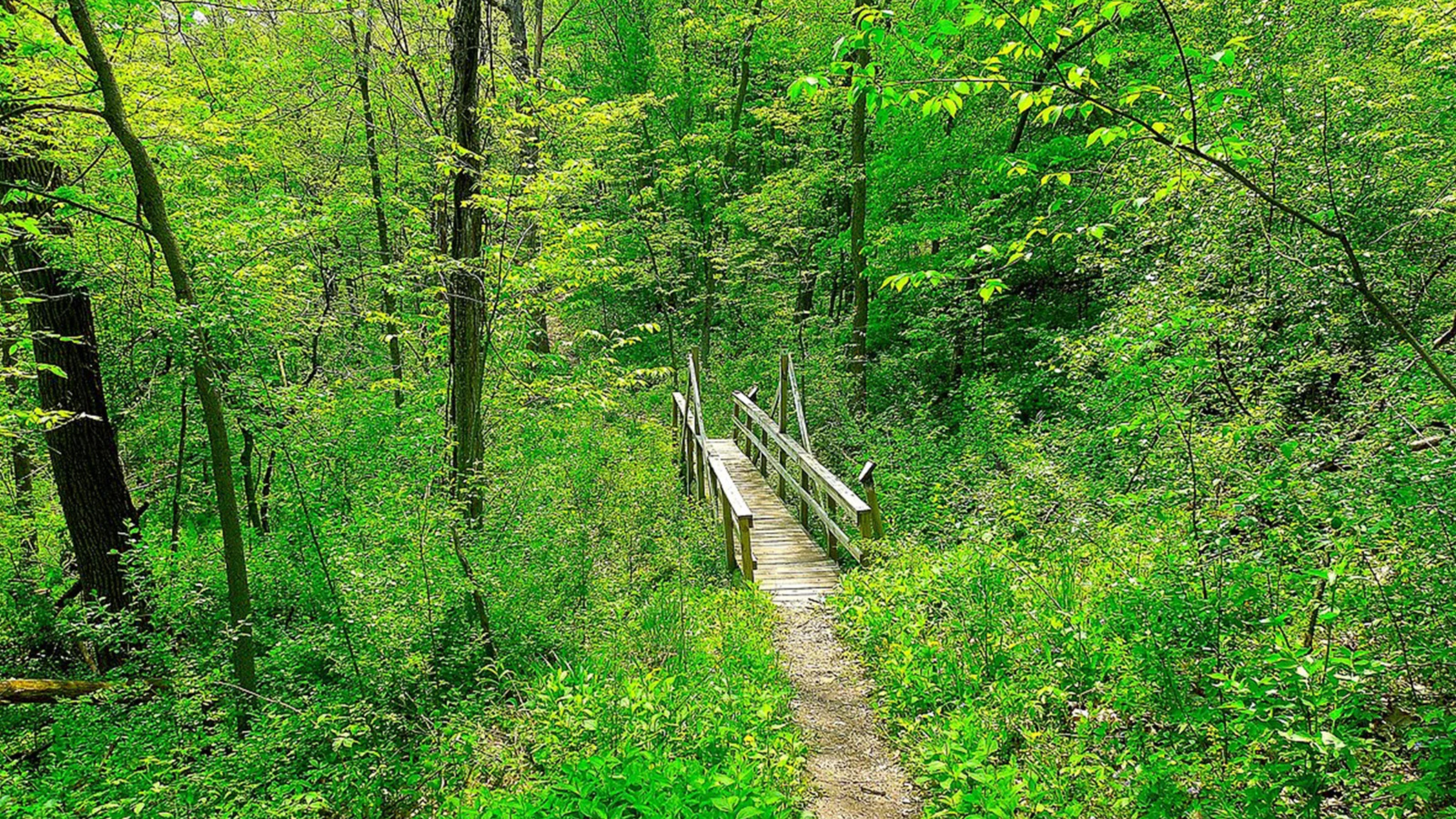 Beautiful Trail Races in the U.S