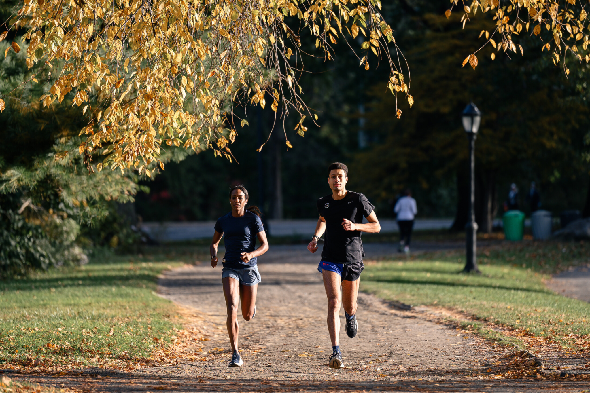 A Year-Long Running Plan for New Runners